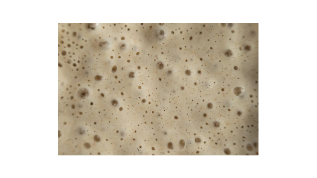 Sourdough: Bacteria, Temperature, and Hydration | Bakery Academy
