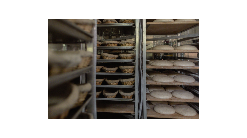 Sourdough: What Really Lives in Your Starter | Bakery Academy