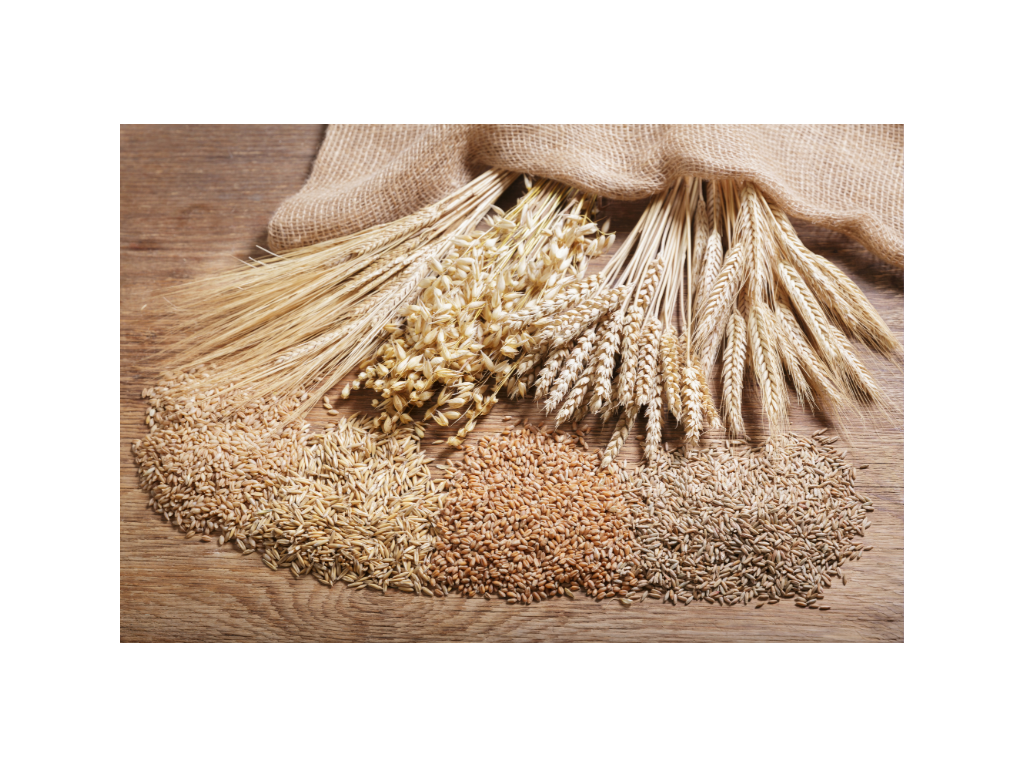 Raw Materials | Bakery Academy